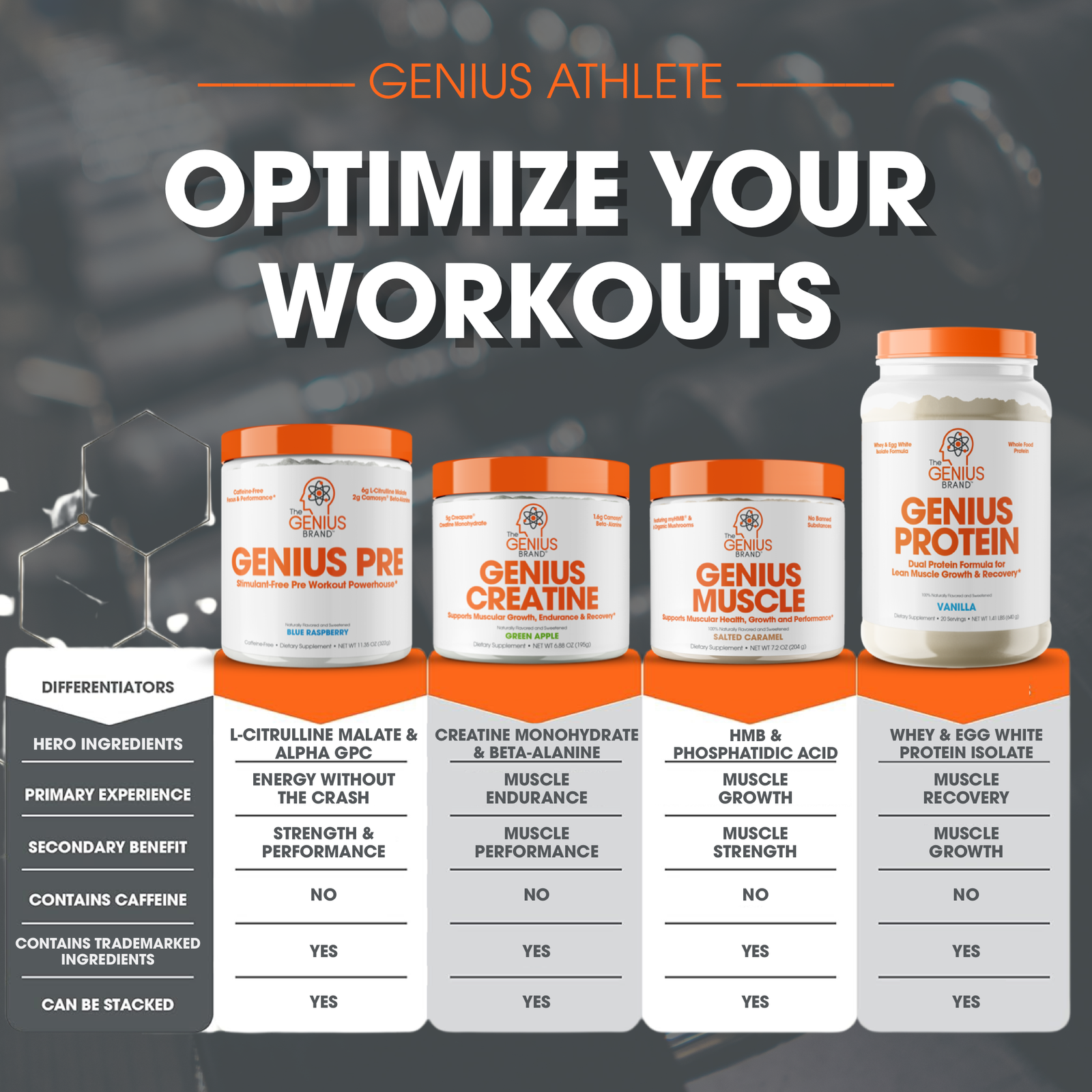 Genius Creatine w/ Creapure - Optimize Workouts for Strength & Endurance