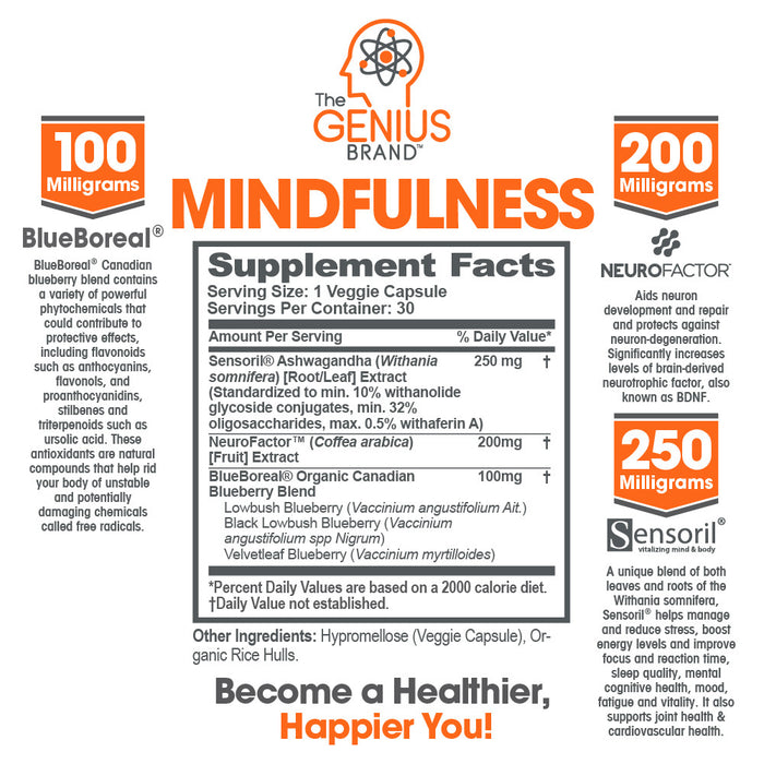 Genius Mindfulness - Cognitive Booster & Stress Relief with BorealBlue